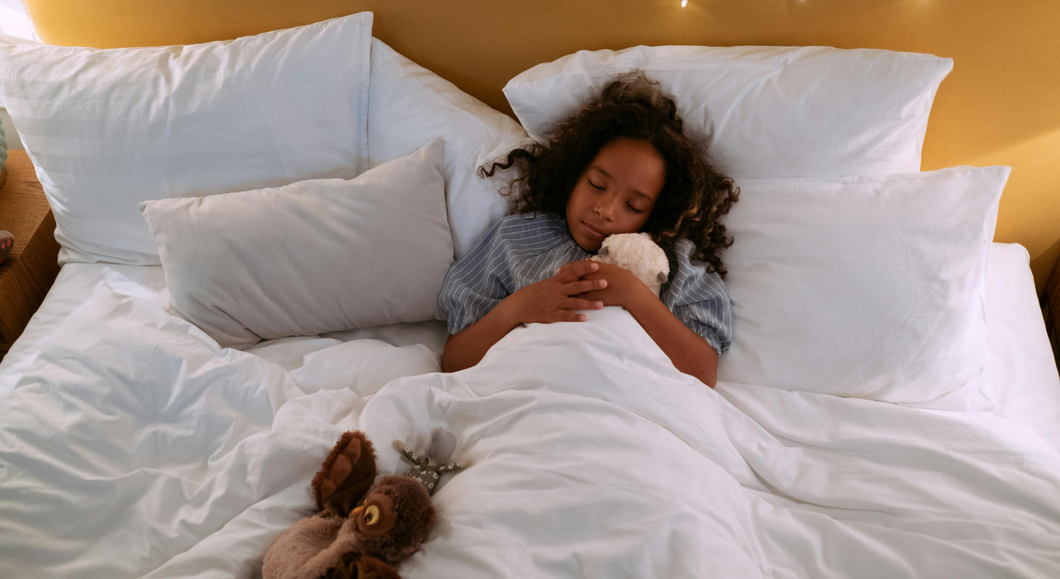 5 Surprising Facts You Might Not Know About Fitted Sheets – Terra Beds